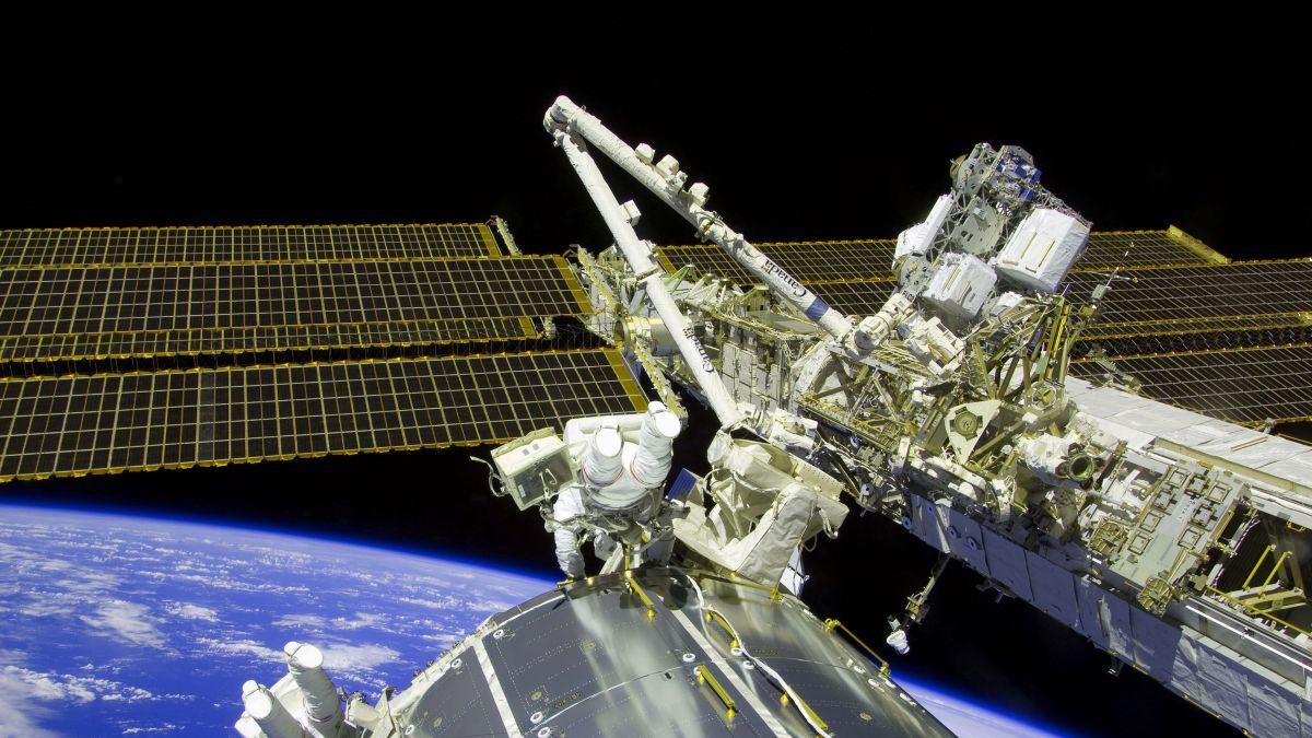 Kakipara a Nemzeti Űrállomáson - Life