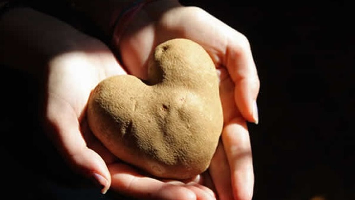 Boob Heart Challenge, avagy csinálj szívet a cicidből: Fotók! - Life