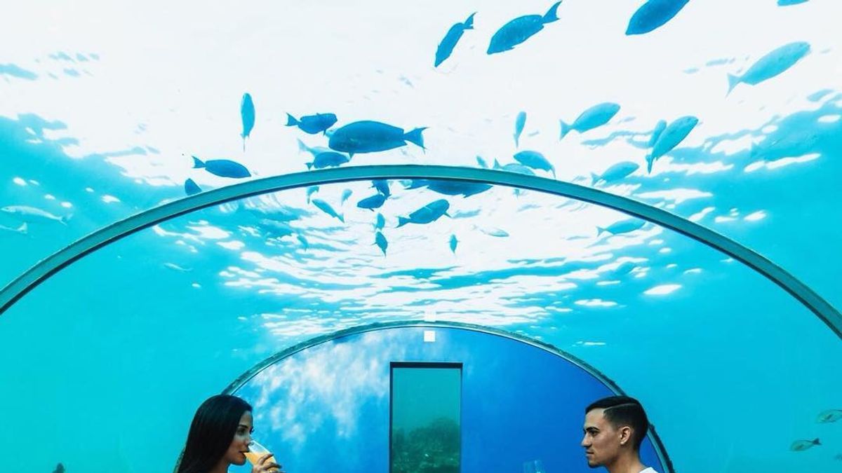 Cápák között hajthatod álomra a fejedet a Maldív-szigeteken - Life