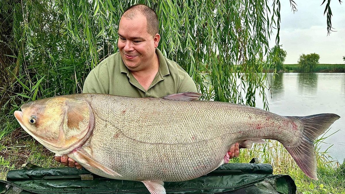Hatalmas fogás: elképesztő méretű hal akadt horogra - Life