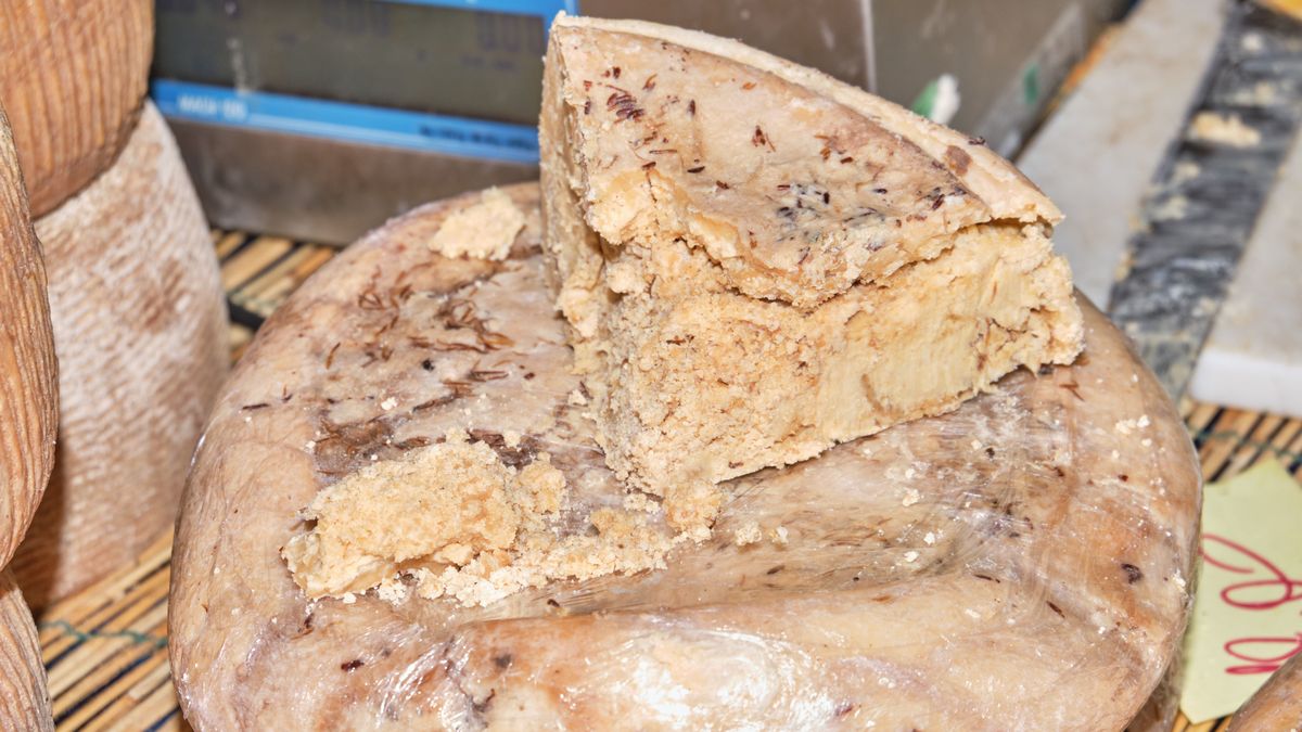 A Casu marzu sajtot betiltotta az EU - Life