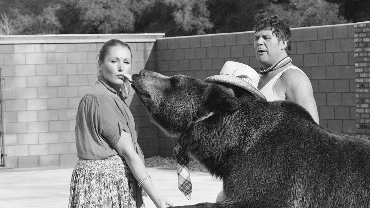 A medve, aki igazi hollywoodi sztár lett - Life