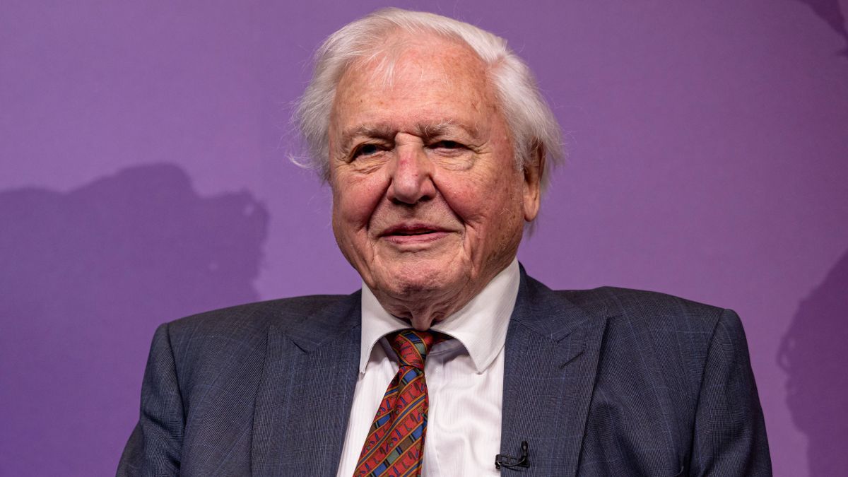 David Attenborough legendás operatőre, Doug Allen meghalt - Life